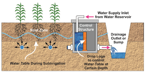 Sub Irrigation or Seepage Irrigation - Agriculture Notes