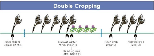 Double Cropping - Agriculture Notes