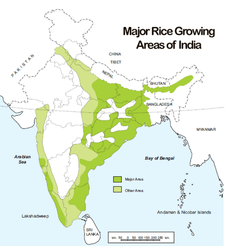 Food Crops - Agriculture Notes