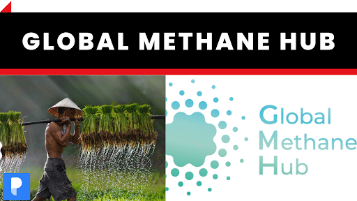 Global Methane Hub - Environment Notes