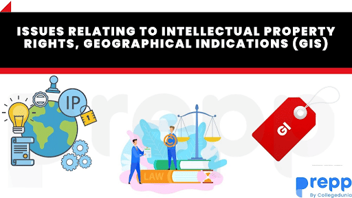 Issues Relating To Intellectual Property Rights, Geographical ...
