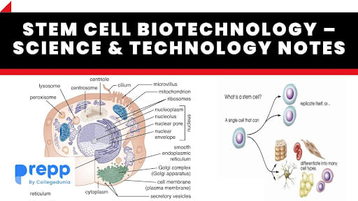 Stem Cell Biotechnology – Science & Technology Notes