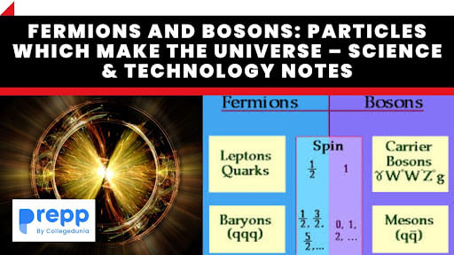 Fermions and Bosons: Particles Which Make the Universe – Science ...