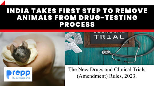 India Takes First Step To Remove Animals From Drug-Testing Process