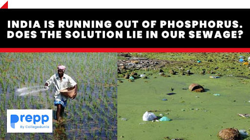 Limited Phosphorus Resources: Does The Solution Lie In Our Sewage?