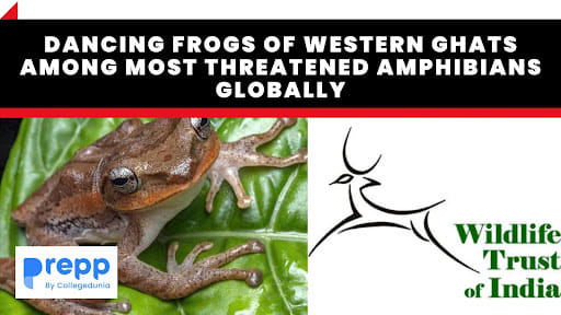 Dancing Frogs Of Western Ghats Among Most Threatened Amphibians Globally