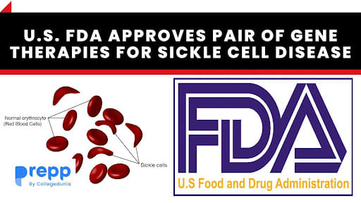 U.S. FDA Approves Pair of Gene Therapies for Sickle Cell Disease