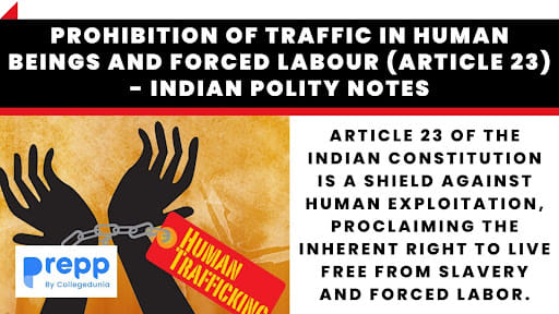 Prohibition of Traffic in Human Beings and Forced Labour (Article 23 ...