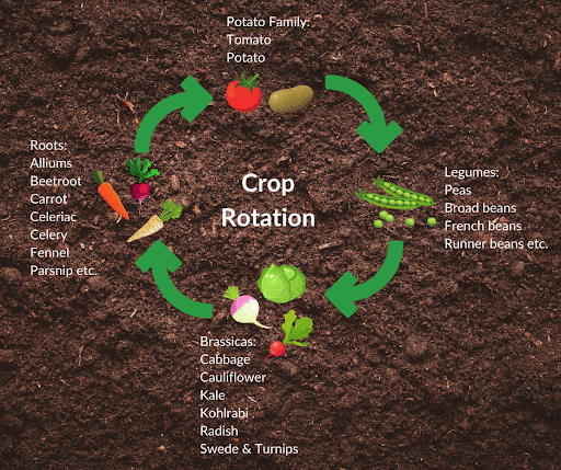 Crop Rotation - Agriculture Notes