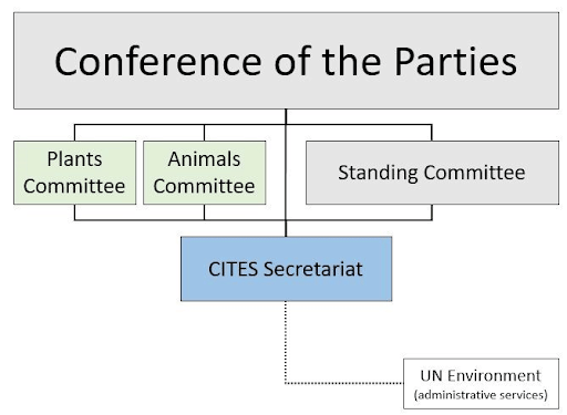 Convention on International Trade in Endangered Species of Wild Fauna ...
