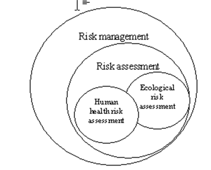 EIA Risk Assessment - Environment Notes