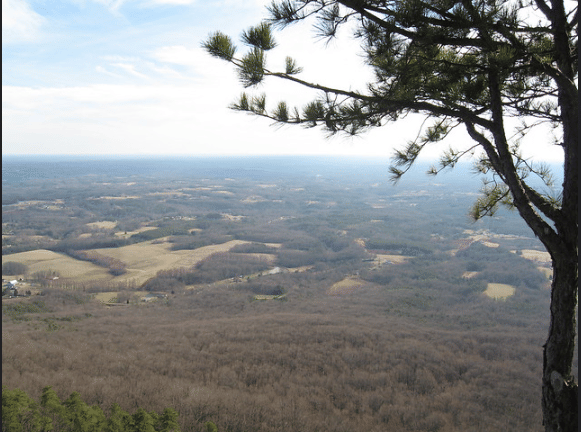 Plateau and its Types - Geography Notes