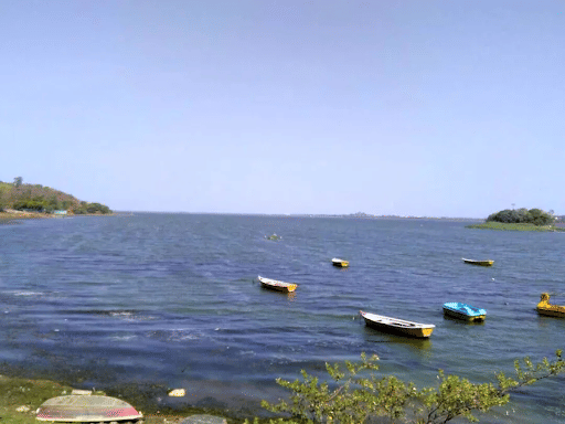 Artificial Lakes in India - Geography Notes