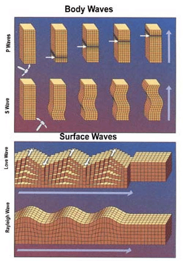 Seismic Activity (Earthquake Waves) - Geography Notes