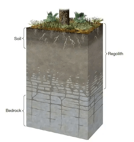 Soil Formation Processes - Geography notes