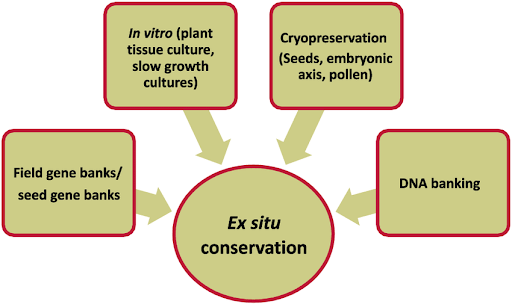Biodiversity Conservation - Environment Notes