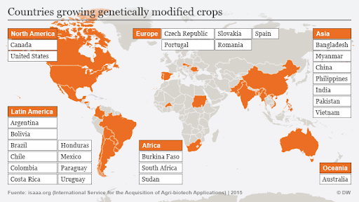 Genetically Engineered (GE) Trees and Genetically Modified (GM) Crops ...