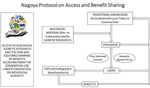 Nagoya Protocol - Environment Notes