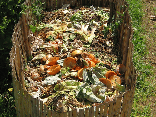 Disposal of Solid Waste - Environment Notes