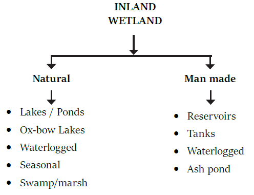 Inland Wetlands - Environment Notes