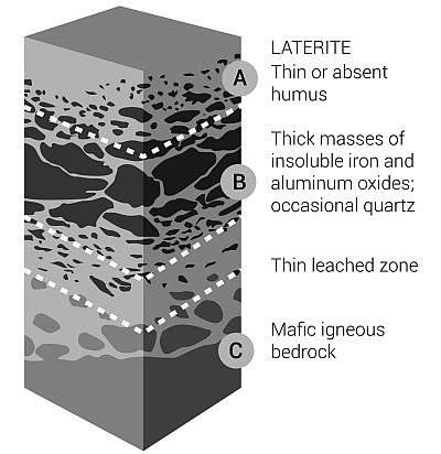 Laterization - Agriculture Notes