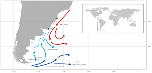The Falkland Current - Oceanic Currents - Geography Notes