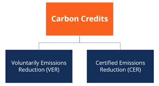 Carbon Credit - Environment Notes