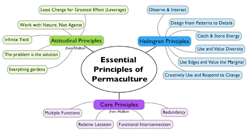 Permaculture - Agriculture Notes