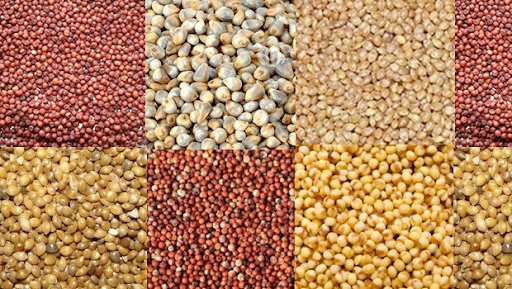 Millets - Environment Notes