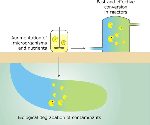 In-Situ Bioremediation Techniques - Environment Notes