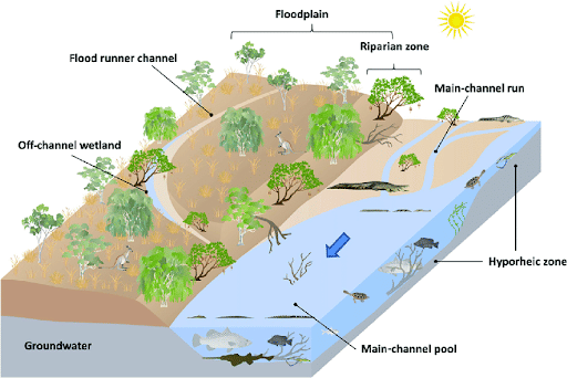 Inland Wetlands - Environment Notes