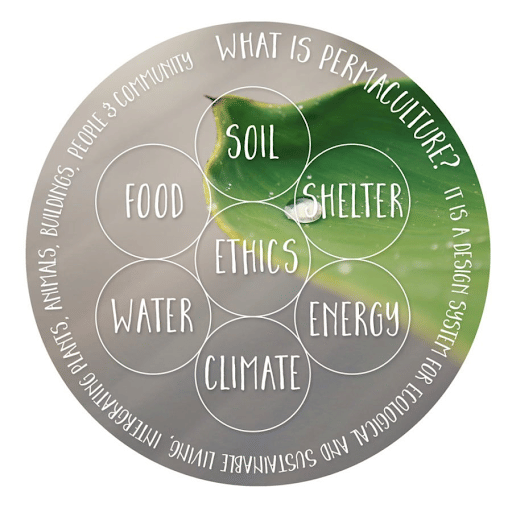 Permaculture - Agriculture Notes