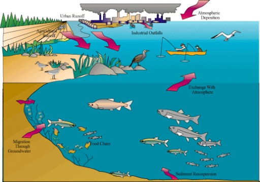 Sources of Thermal Pollution - Environment Notes