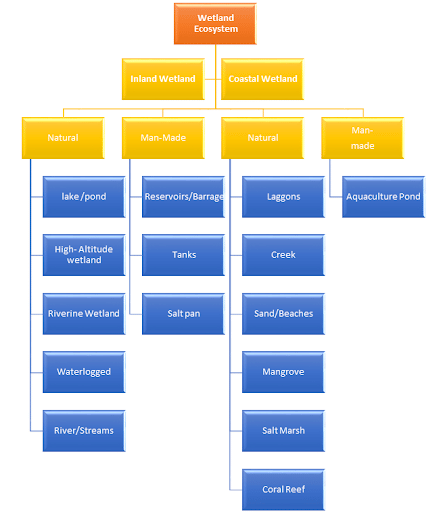 Classification of Wetlands - Environment Notes