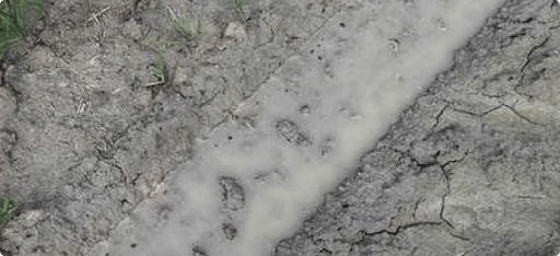 Sodic Soils - Agriculture Notes