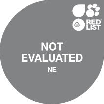 Not Evaluated (NE) - IUCN Classification - Environment Notes