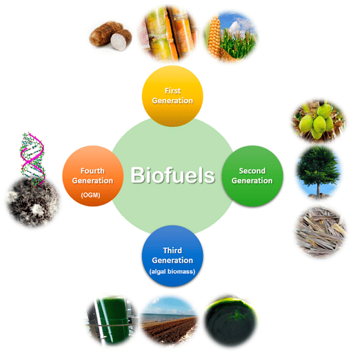 Promotion of Biofuels - Environment Notes