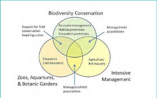 Biodiversity Conservation - Environment Notes