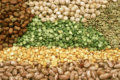 Grain Legumes - Agriculture Notes
