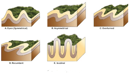 Fold Mountains - Geography Notes