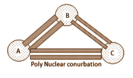 Conurbation - Geography Notes