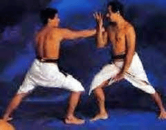 Martial Arts in India - Art and Culture Notes