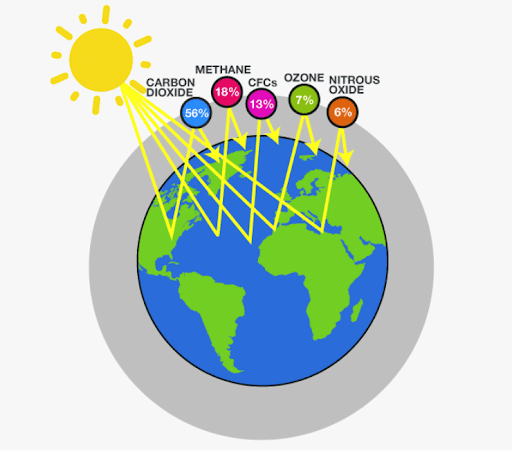 Green House Gases - Environment Notes