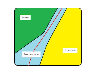 Ecotone - Environment Notes