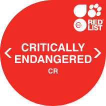 Critically Endangered (CR) - IUCN Classification - Environment Notes
