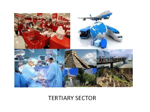 Tertiary Sector – Indian Economy Notes