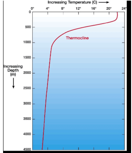 What is Indian Ocean Dipole (IOD)? - Geography Notes