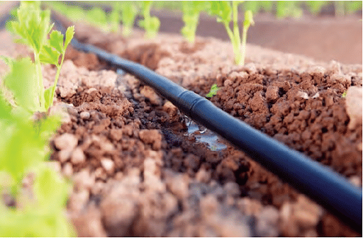 Drip Irrigation - Agriculture Notes