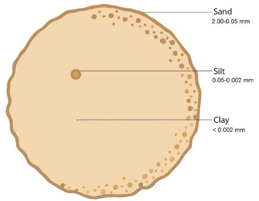 Soil Profile - Agriculture Notes