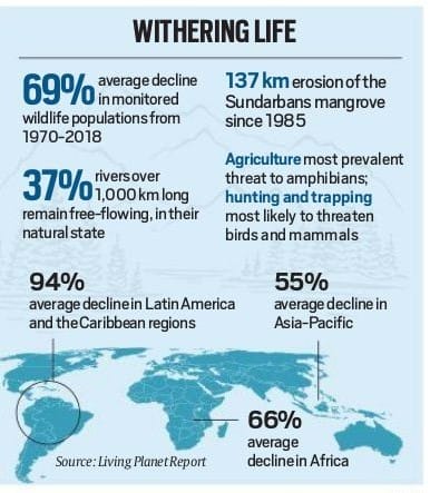 Shrinking Biodiversity: 69% Drop In Wildlife Populations In Nearly 5 ...